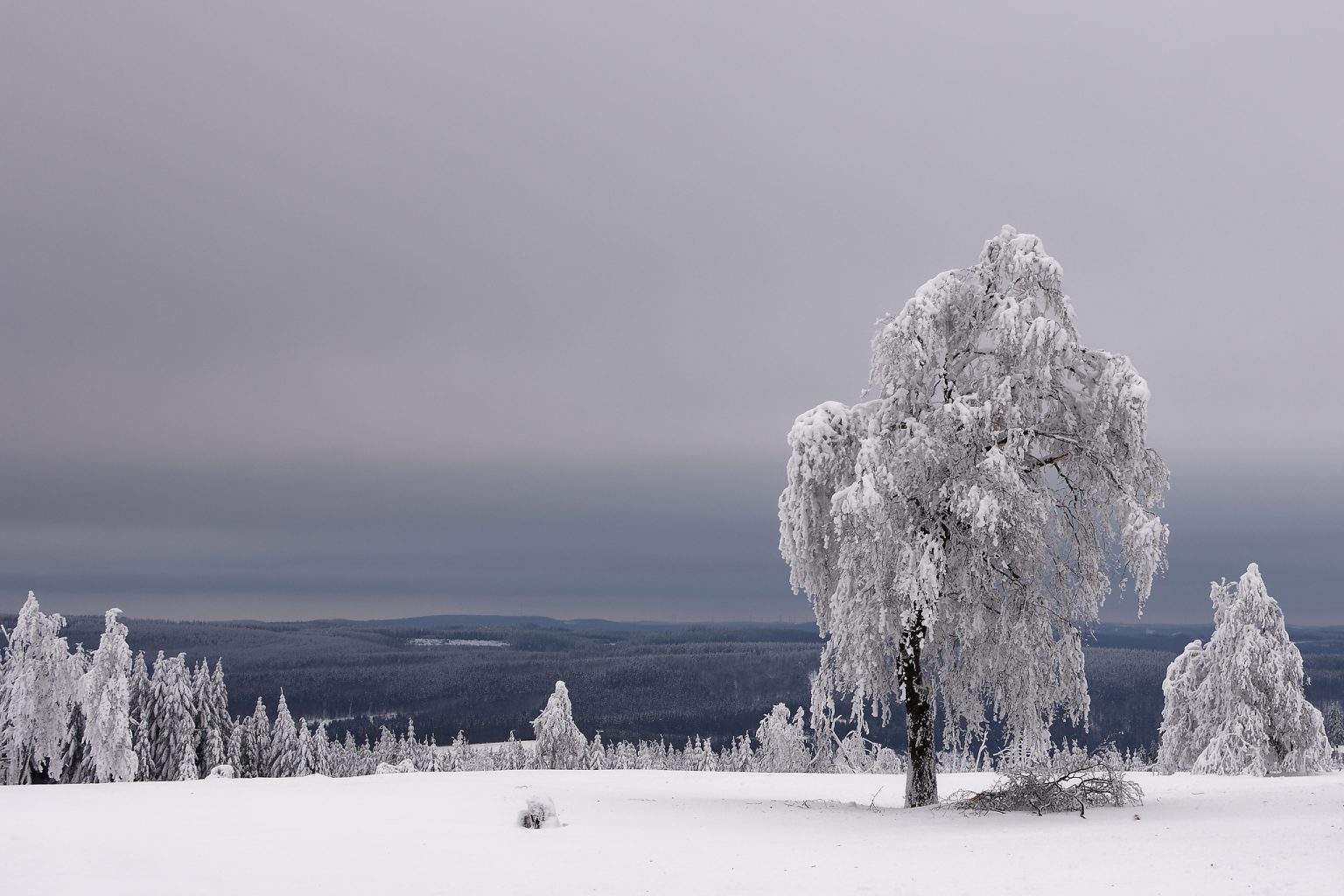 Pausenbild: Winter auf dem Kahlen Asten – zoom