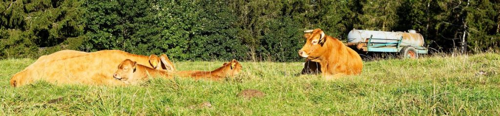 zoom – Seite 891 – das Sauerland und mehr